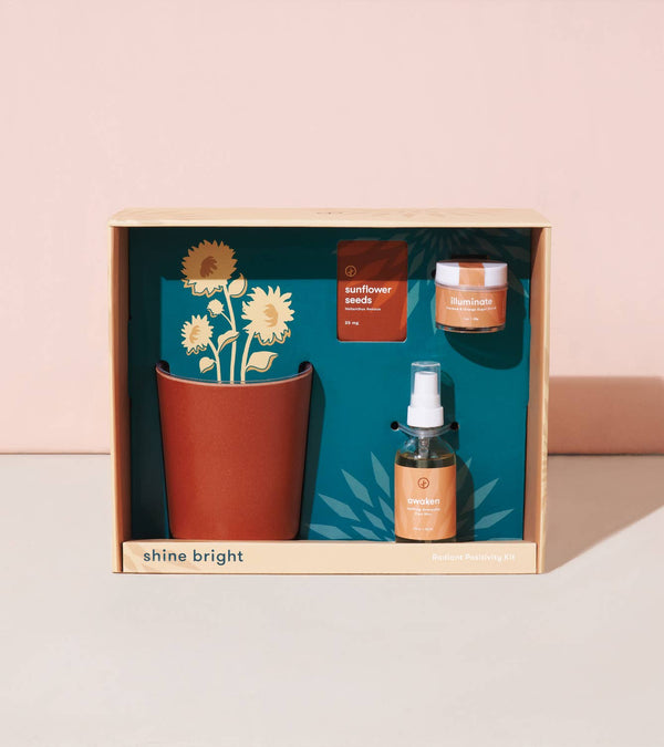 Sunflower Grow Gift Set - The Mayflower Florist
